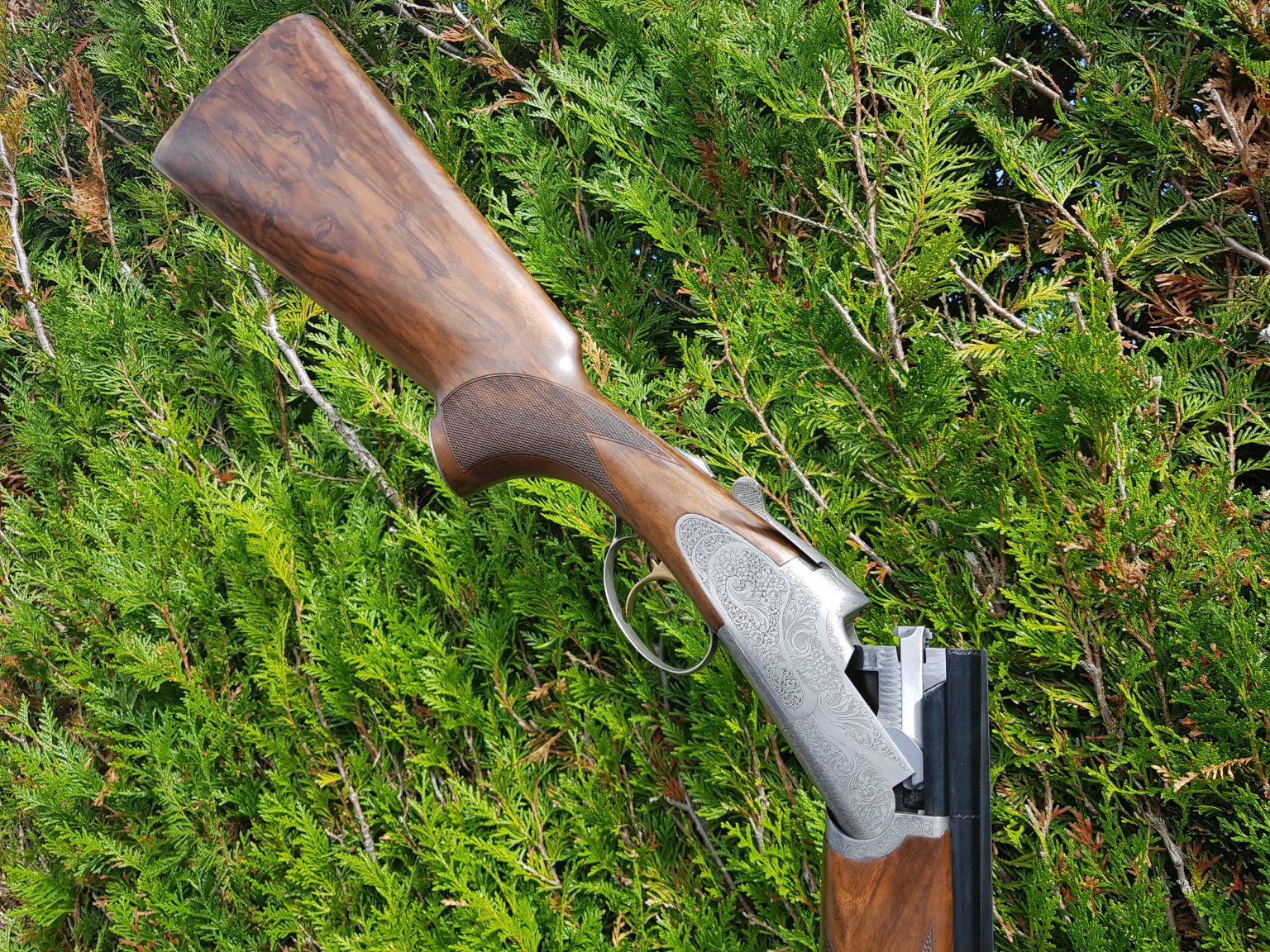 Accueil - English - Chapuis Armes