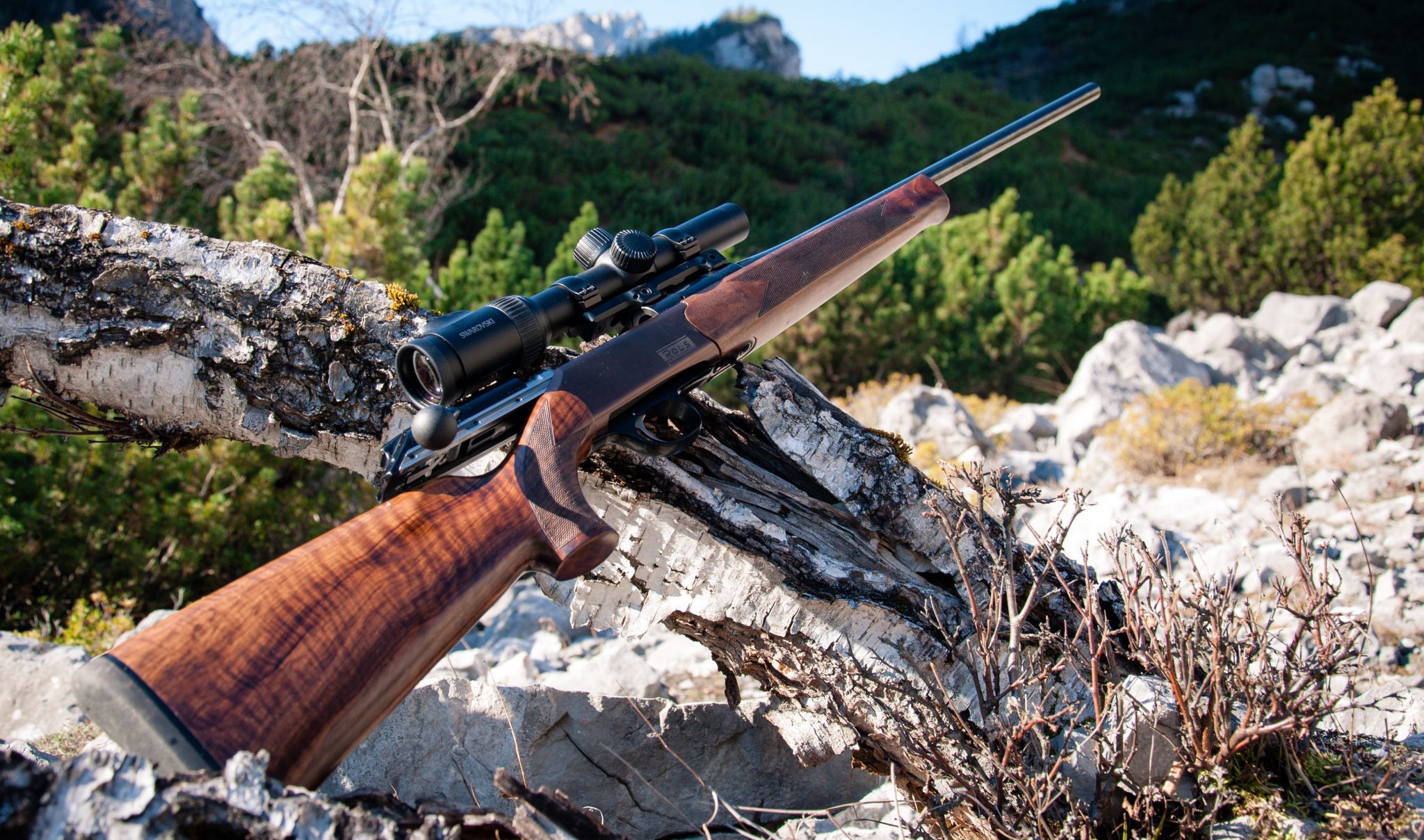 Accueil - Chapuis Armes